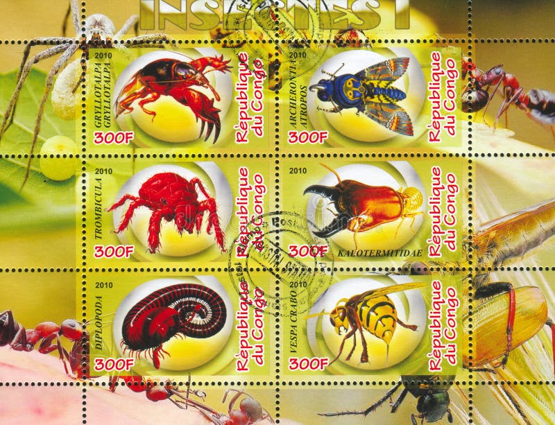 Insects stock illustration. Illustration of wildlife - 322788747