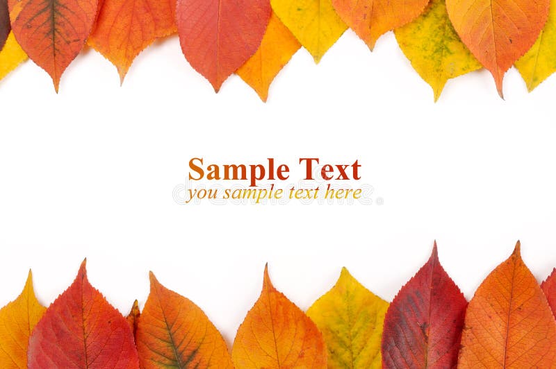 Congratulations Form in the Autumn Leaves Stock Image - Image of ...