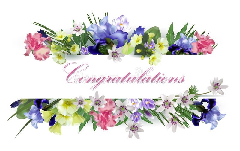 Congratulations with Spring Flowers Stock Illustration - Illustration ...