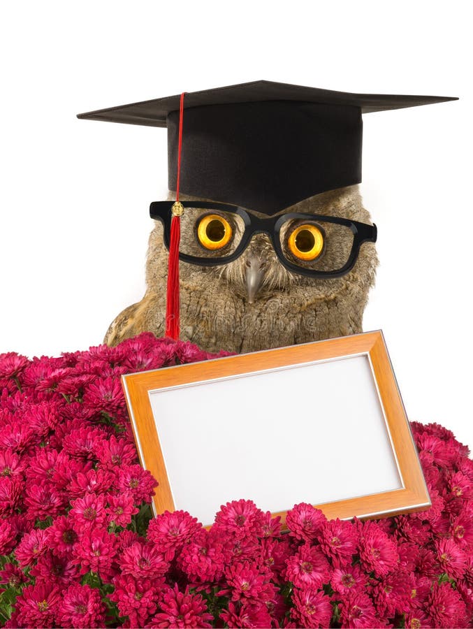 Congratulations To the Graduate Write Your Text. Stock Photo - Image of ...