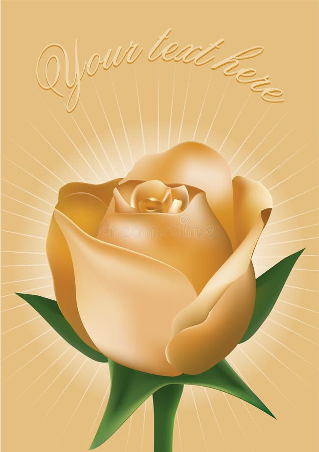 Congratulations To the Roses Stock Vector - Illustration of ...