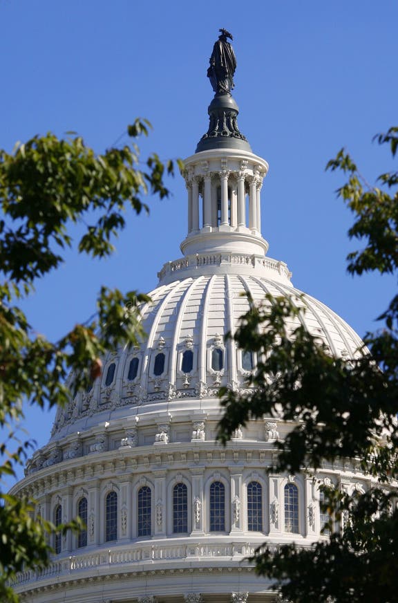 Congress Dome, Capitol Hill Stock Image - Image of washington, trees ...
