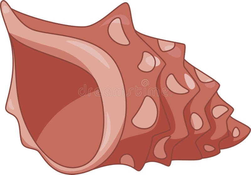 Conical Cartoon Shell with Spots and Scallop Stock Vector ...