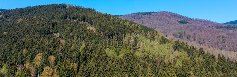 Conical Mountain in the Harz Mountains Covered with Mixed Forest Stock ...