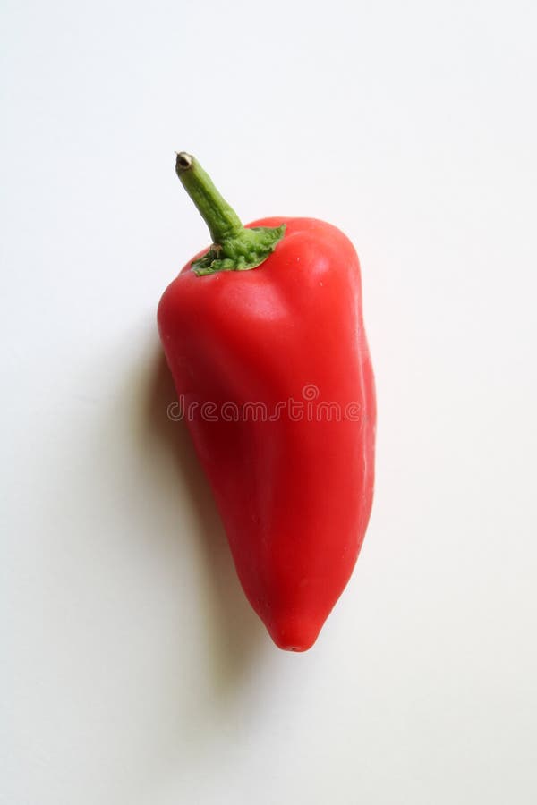 A Conical Red Pepper on a White Background Stock Image - Image of spicy ...