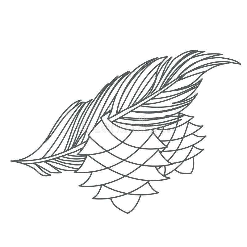 Conifer Outline Stock Illustrations – 2,167 Conifer Outline Stock ...