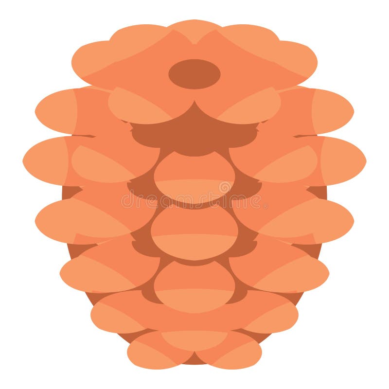Conifer Pine Cone Icon, Isometric Style Stock Vector - Illustration of ...