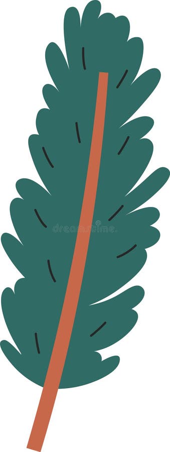 Conifer Tree Branch stock vector. Illustration of pine - 290753751