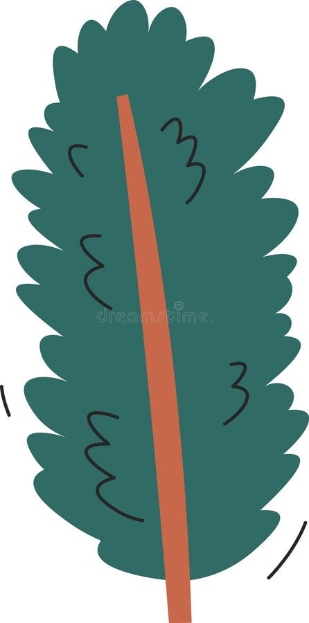 Conifer Tree Branch stock vector. Illustration of spruce - 290753768
