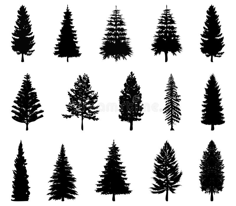 Conifer Trees Silhouette Collection. Set of Bundle of Trees Silhouette ...