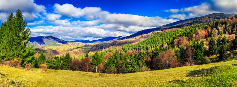 Coniferous Forest in Autumn Mountains Stock Photo - Image of cloud ...