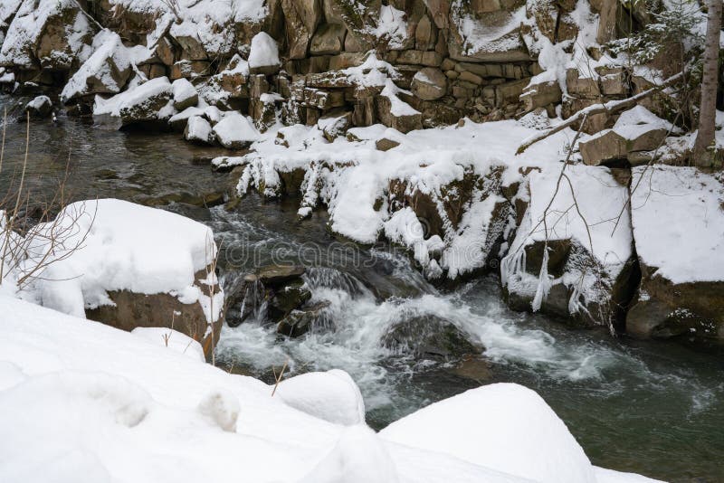Coniferous Forest, Fir Trees, Mountain Stream in Winter in the Snow ...