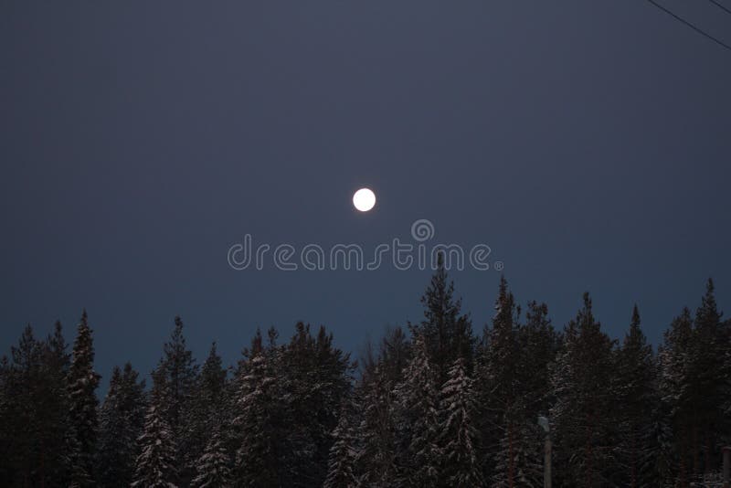 Full Moon through the Branches of Trees Stock Photo - Image of ...