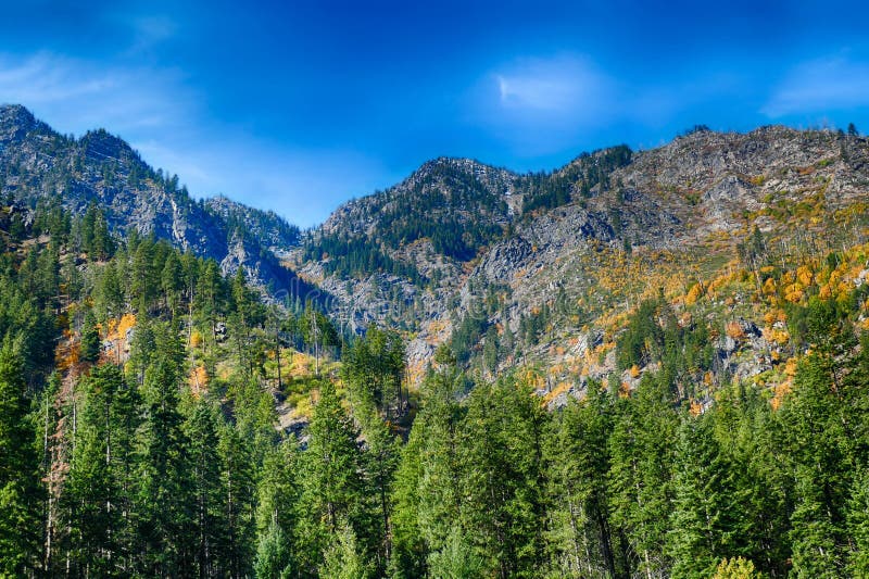 Autumn Hillside with Colorful Foliage Trees Near Valley Stock Photo ...