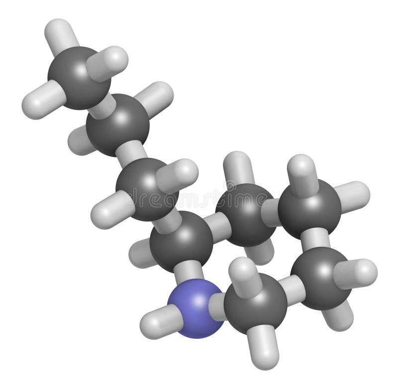 Coniine Herbal Toxin Molecule. Present in Poison Hemlock Conium ...