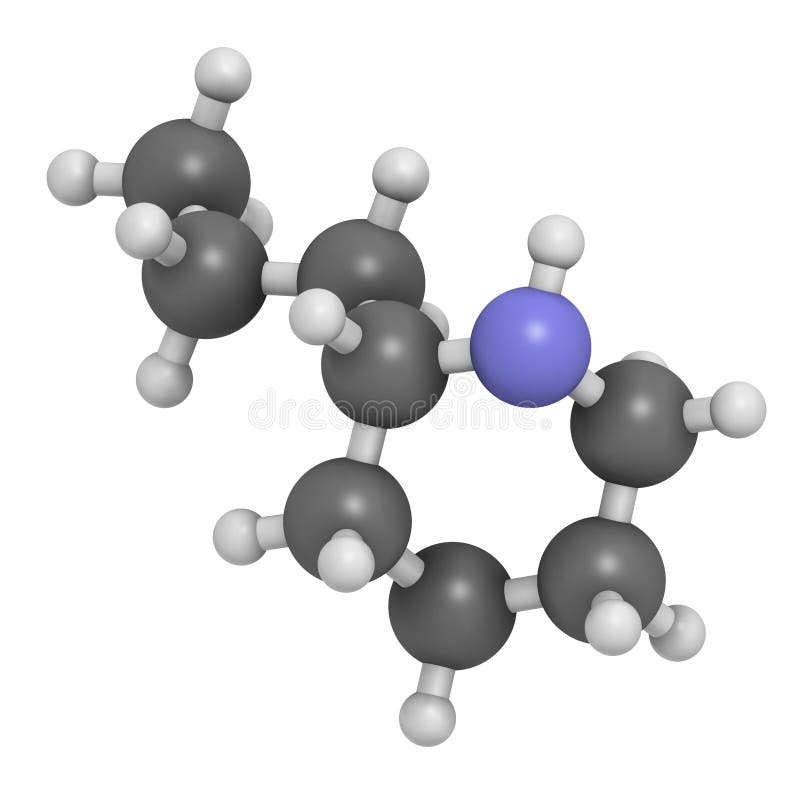 Coniine Herbal Toxin Molecule. Present in Poison Hemlock Conium ...