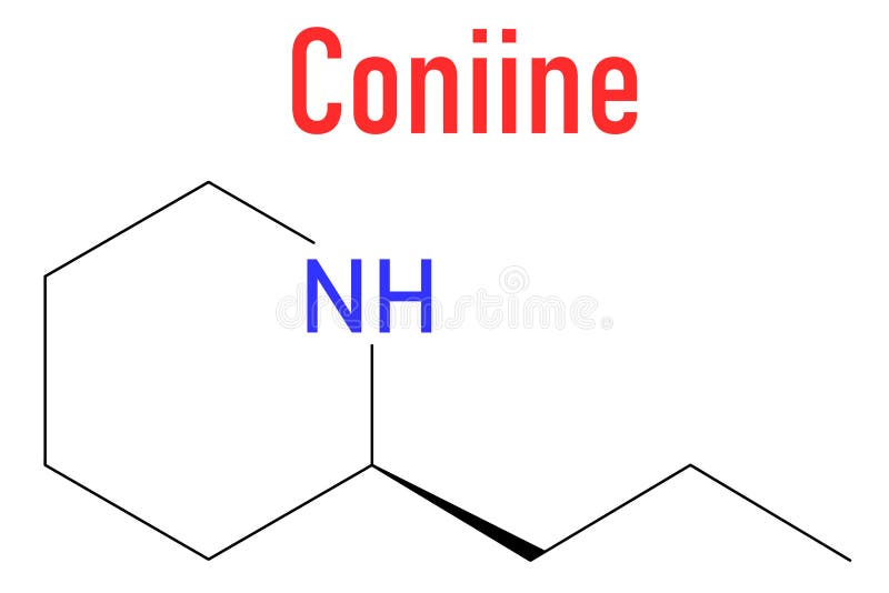 Coniine Herbal Toxin Molecule. Present in Poison Hemlock Conium ...