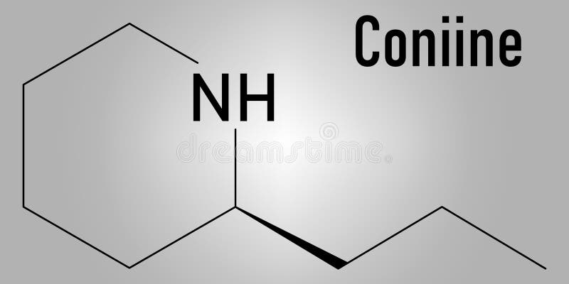 Coniine Herbal Toxin Molecule. Present in Poison Hemlock Conium ...
