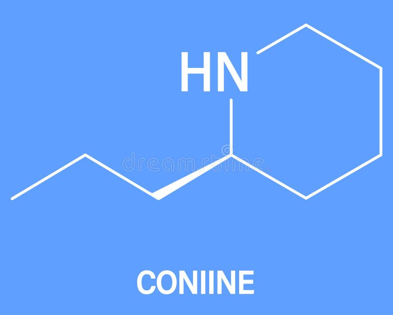 Coniine Herbal Toxin Molecule. Present in Poison Hemlock, Conium ...