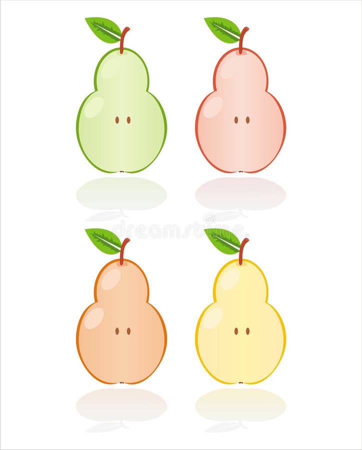 Conjunto de 4 peras ilustración del vector. Ilustración de fruta - 15287072
