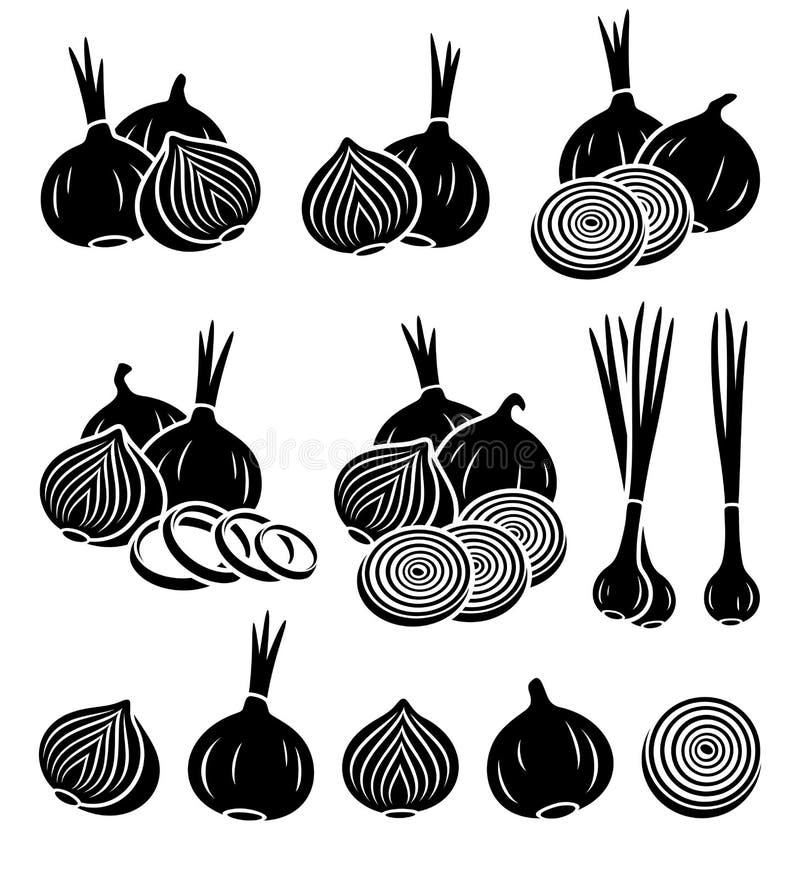 Conjunto de cebolla Vector ilustración del vector. Ilustración de dieta ...