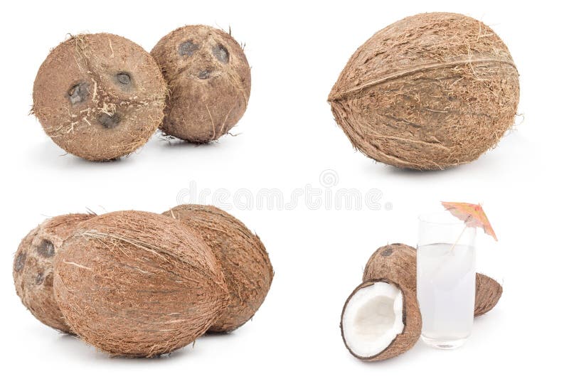 Conjunto De Coco Fechado Em Branco Foto de Stock - Imagem de ...