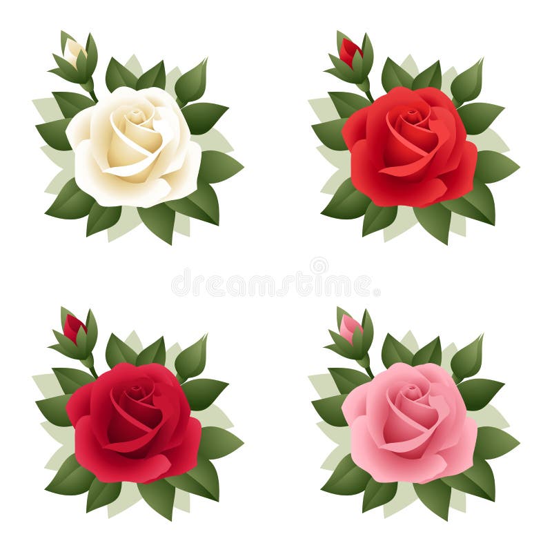 Conjunto De Cuatro Rosas De Varios Colores Ilustración del Vector ...