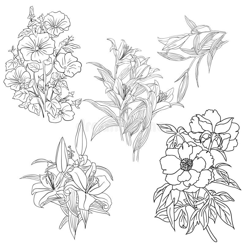 Conjunto De Estilo Drenado Disponible. Ilustración del Vector ...