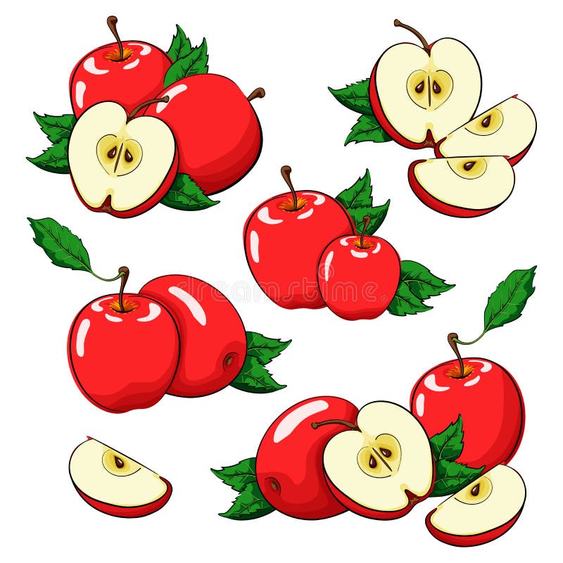 Conjunto de 4 manzanas ilustración del vector. Ilustración de alimento ...