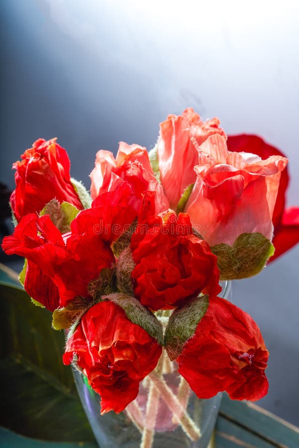 Conjunto De Muchos Grupos De Flores Rojas Festivas Imagen de archivo ...