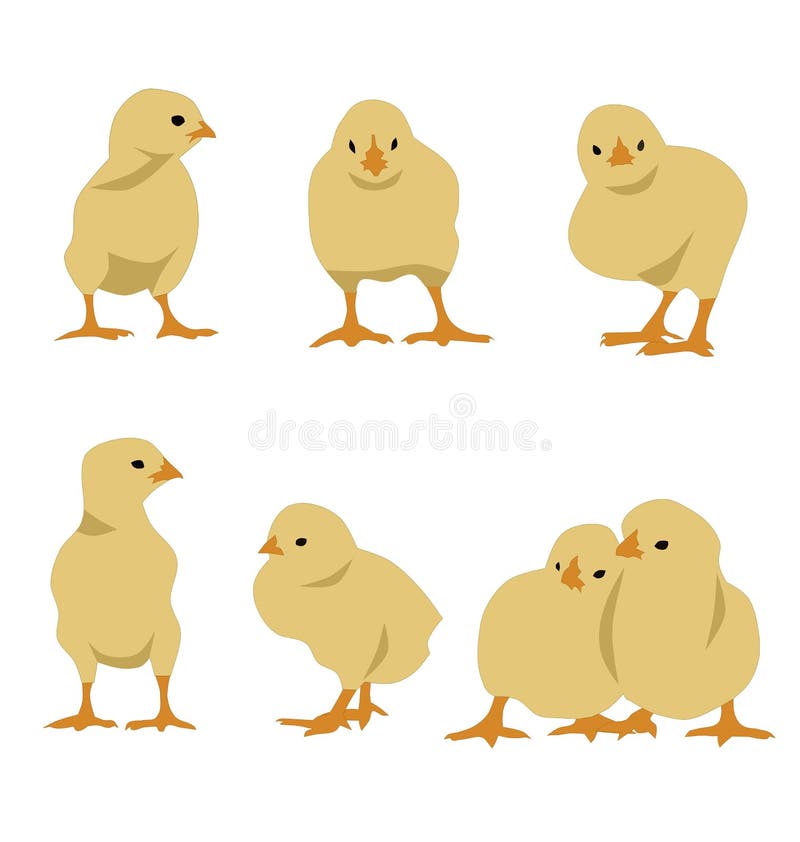 Conjunto de gallinas ilustración del vector. Ilustración de lindo ...
