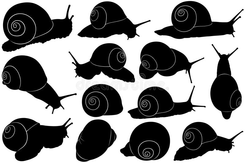 Conjunto De Silhuetas De Caracol Diferentes Ilustração do Vetor ...