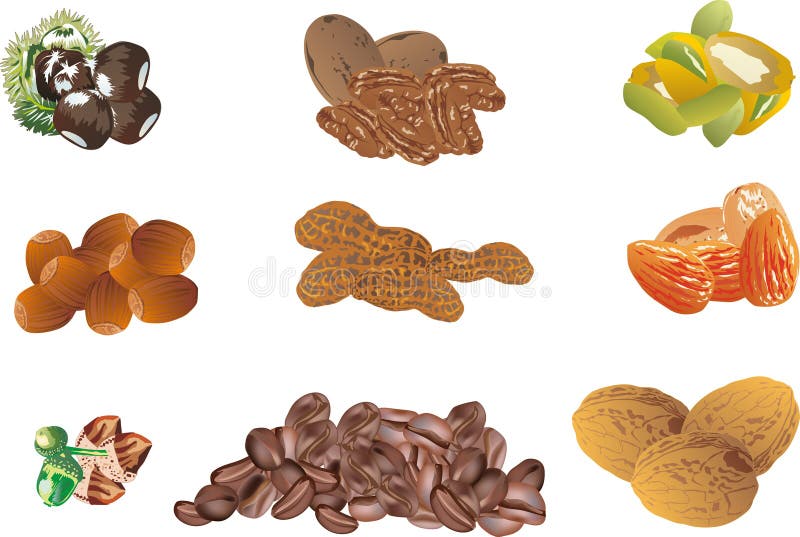 Conjunto De Tuercas Aisladas Ilustración del Vector - Ilustración de ...