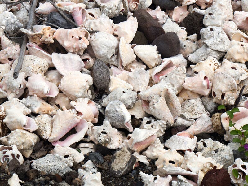 Statia Symbolic Animal Stock Photos - Free & Royalty-Free Stock Photos ...