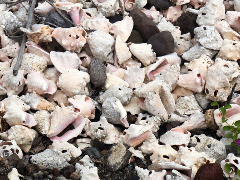 Statia Symbolic Animal Stock Photos - Free & Royalty-Free Stock Photos ...