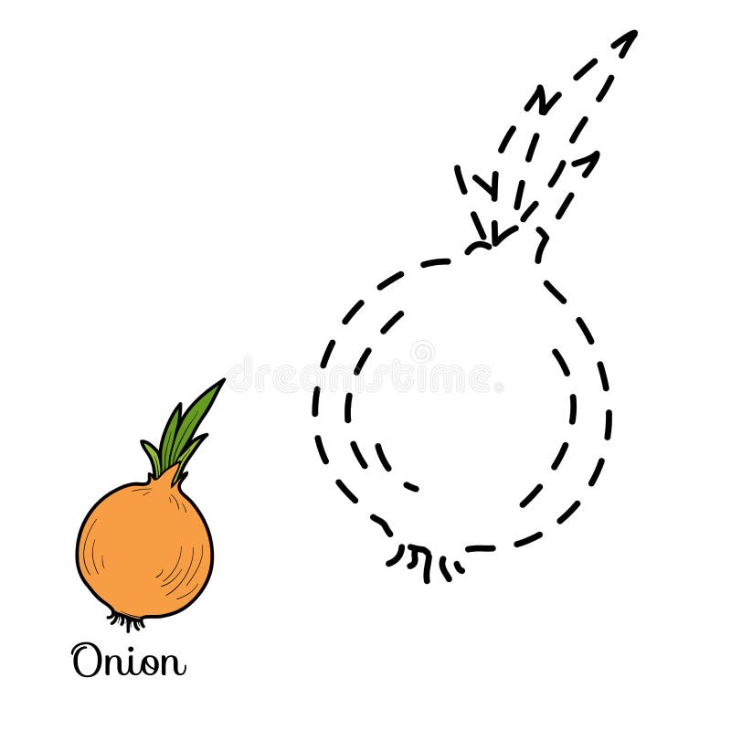 Connect the Dots: Fruits and Vegetables (onion) Stock Vector ...