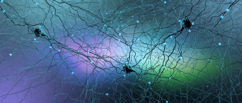 Connected Neurons or Nerve Cells Stock Illustration - Illustration of ...