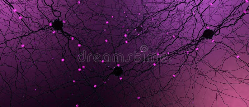 Connected Neurons or Nerve Cells Stock Illustration - Illustration of ...