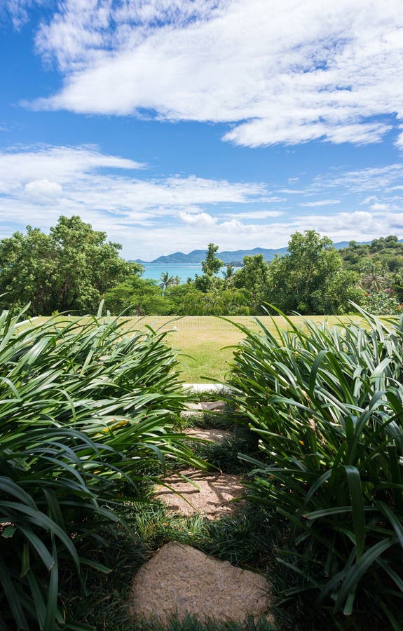 Connected to the nature stock image. Image of green, blue - 62448175