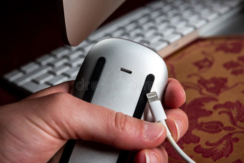 Connecting the Charger To the Computer Mouse Stock Photo - Image of ...