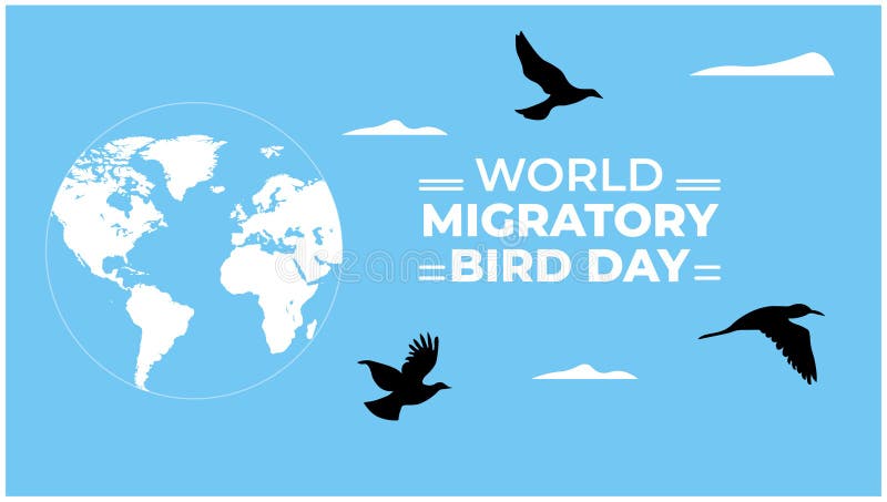 Connecting Continents: Honoring World Migratory Birds Day Stock Vector ...