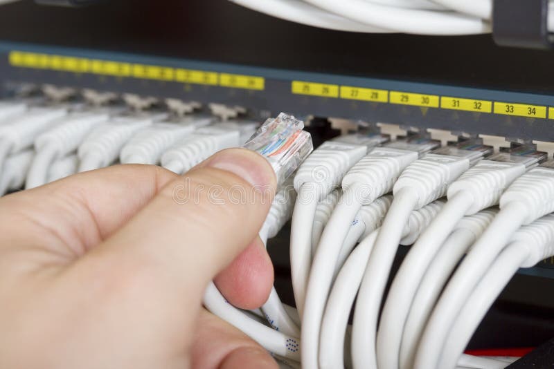Connecting Network Cable into Switch Stock Photo - Image of inserting ...