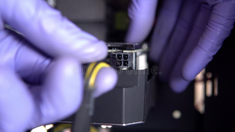 Connecting the Power Plug of the Video Card of a Personal Computer ...