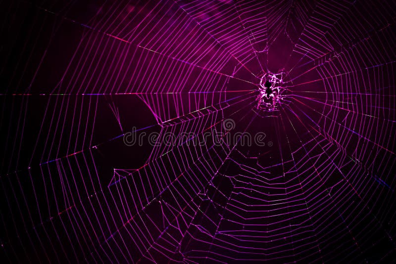 Connection Concept of Spider Web Back-lighted by Led Lights. Stock ...