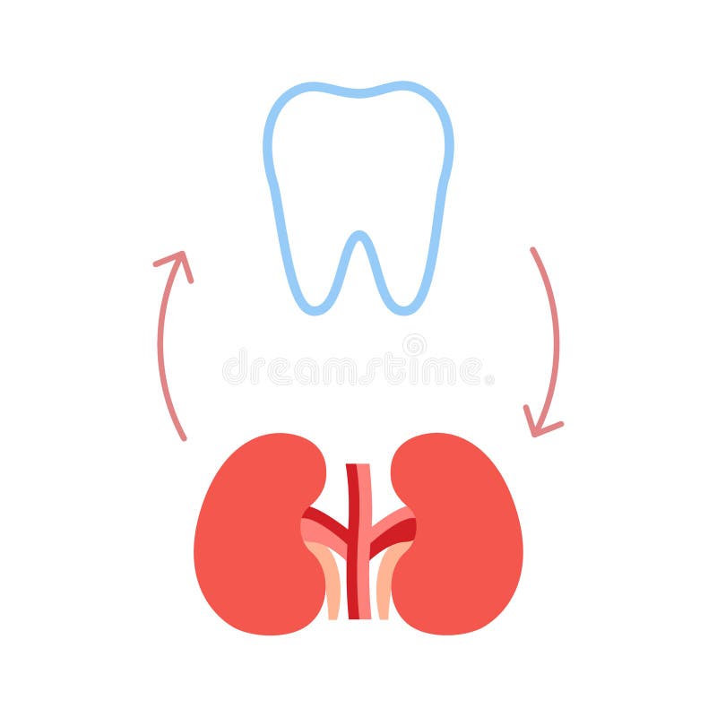 Relation of Human Brain and Guts, Second Brain, Image Diagram - Vector ...