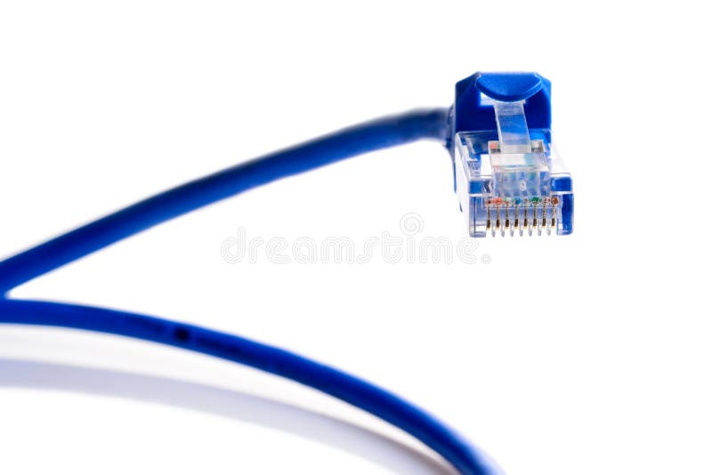 Network Snake stock image. Image of administrator, green - 107949