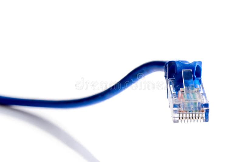 Network Snake stock image. Image of administrator, green - 107949