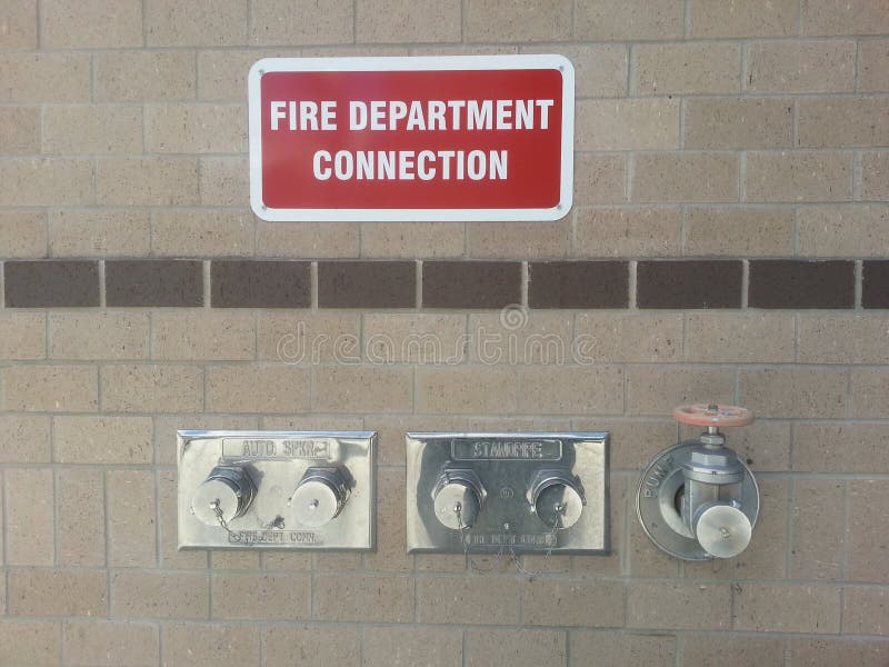 Connexion siamoise photo stock. Image du beige, siamois - 45431262