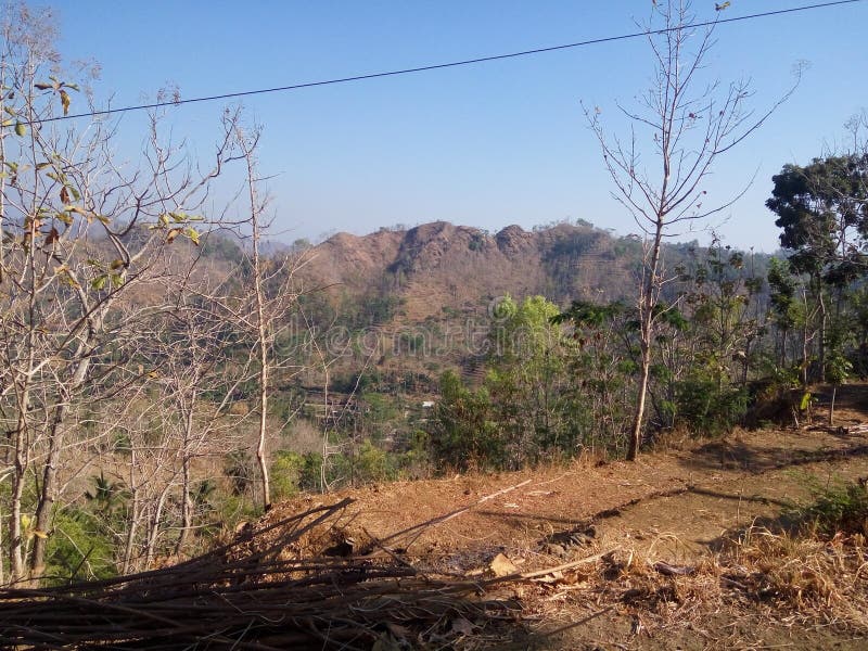 This is a Consequence of the Long Season Stock Photo - Image of nature ...