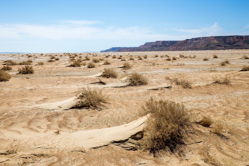 Consequences of Aral Sea Ecological Catastrophe. Salt Storm in Sandy ...